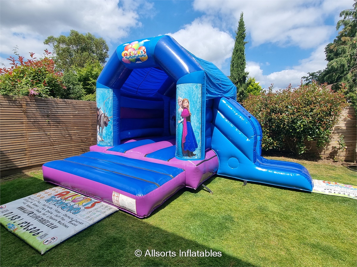 Ice Princess Castle/Slide Combo with roof - Bouncy Castle and ...